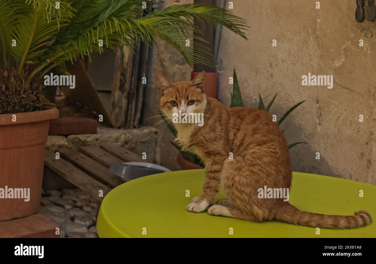 Sfondo striato hi-res stock photography and images - Alamy