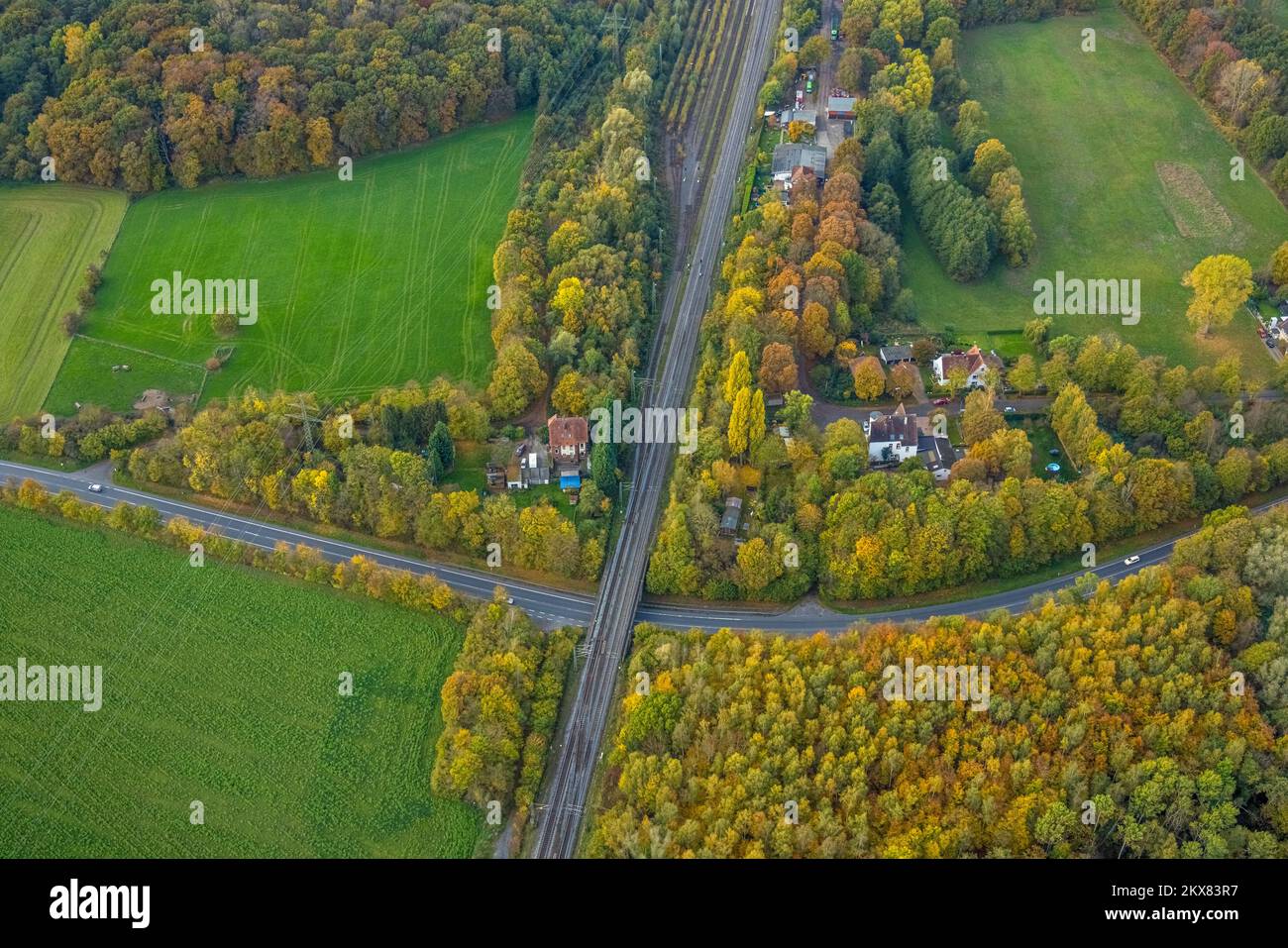 Aerial view, Beverwald, autumn forest, connection parking Werner Straße ...