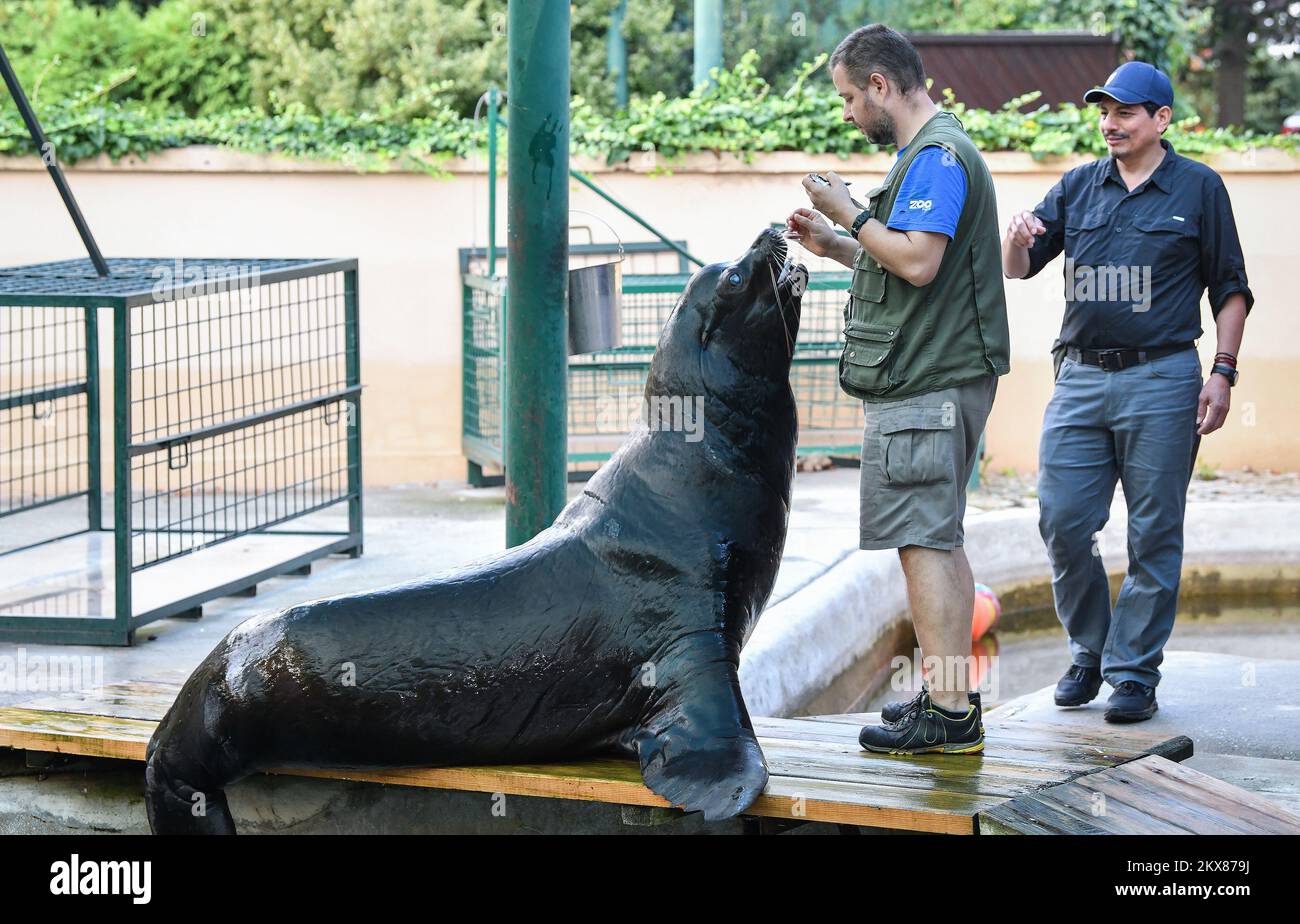 01.09.2018. Zagreb - Yuri Cortez, photographer of Angence France-Pressa ...