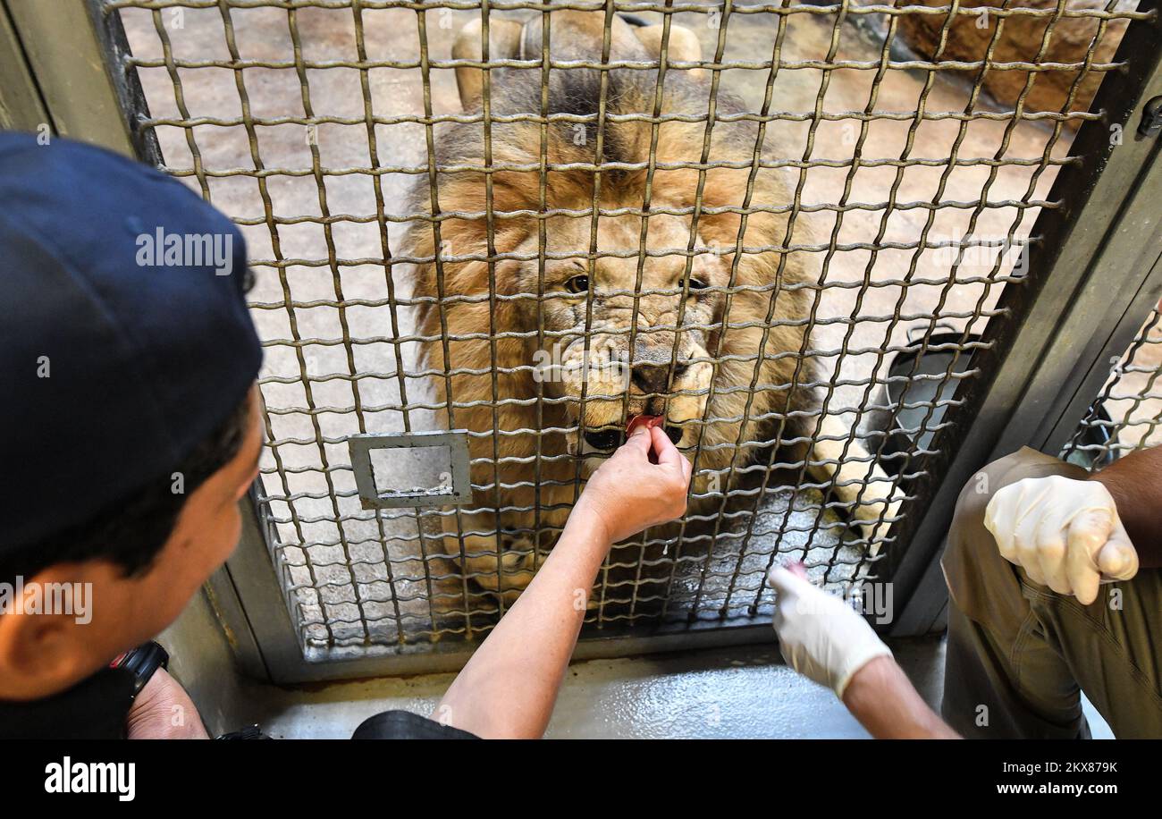 01.09.2018. Zagreb - Yuri Cortez, photographer of Angence France-Pressa ...