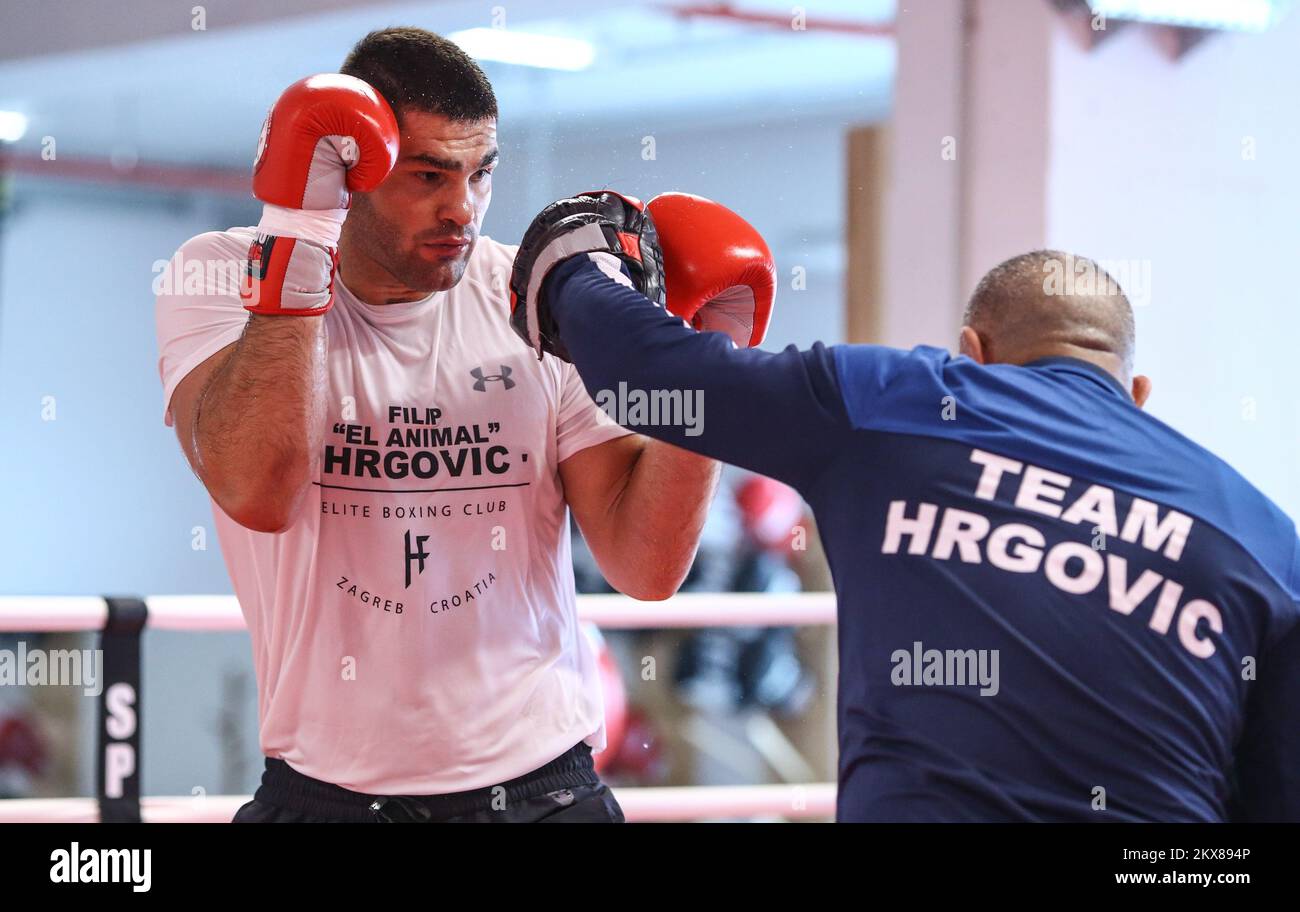 04.09.2018., Zagreb - Training of boxer Filip Hrgovic before Saturday's ...