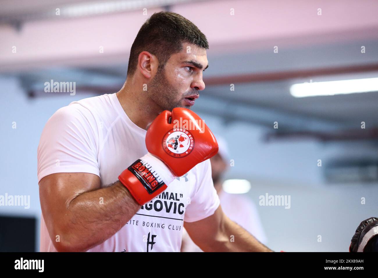 04.09.2018., Zagreb - Training of boxer Filip Hrgovic before Saturday's ...