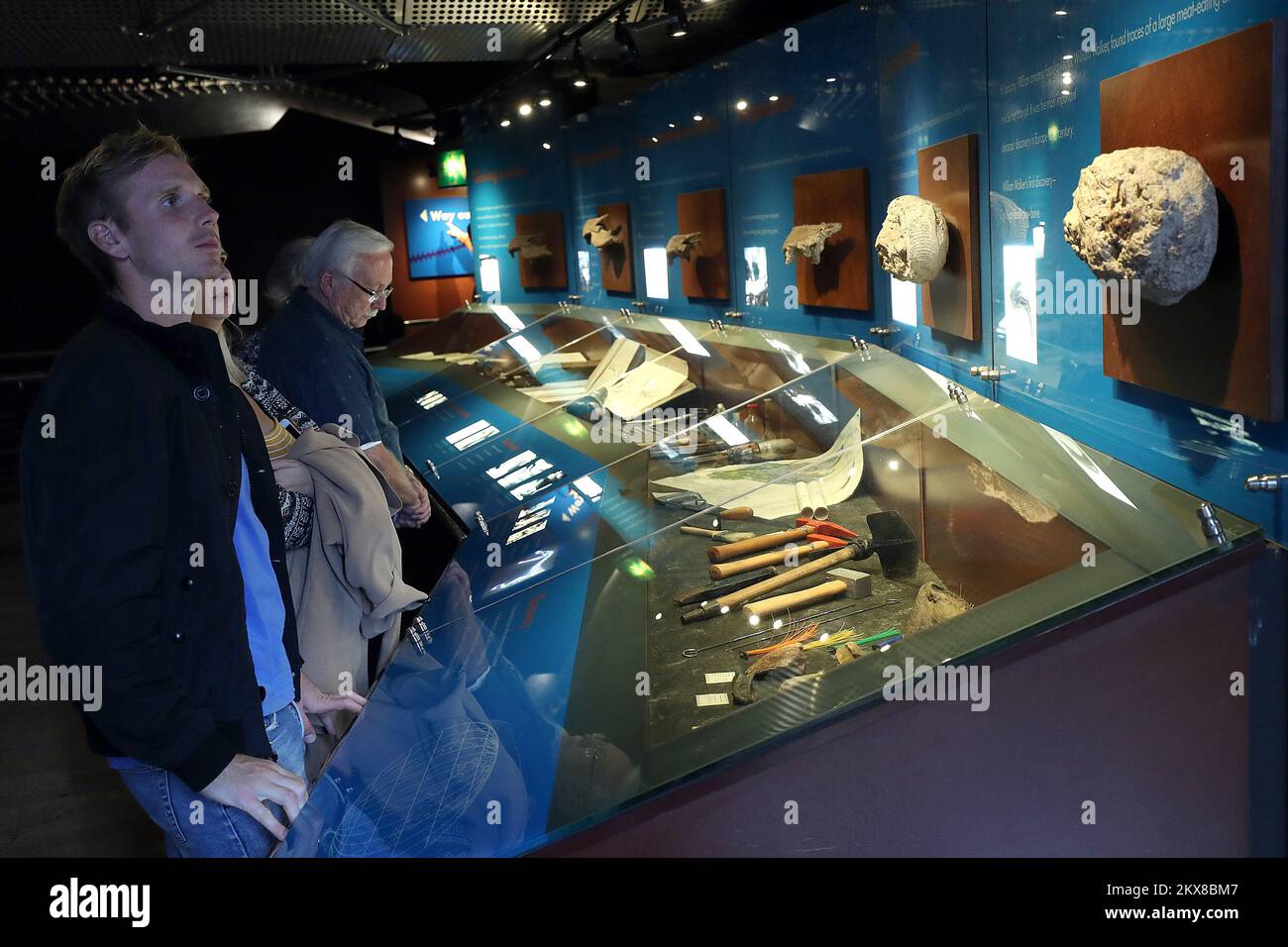 07.09.2018., London - The Natural History Museum in London is a natural ...