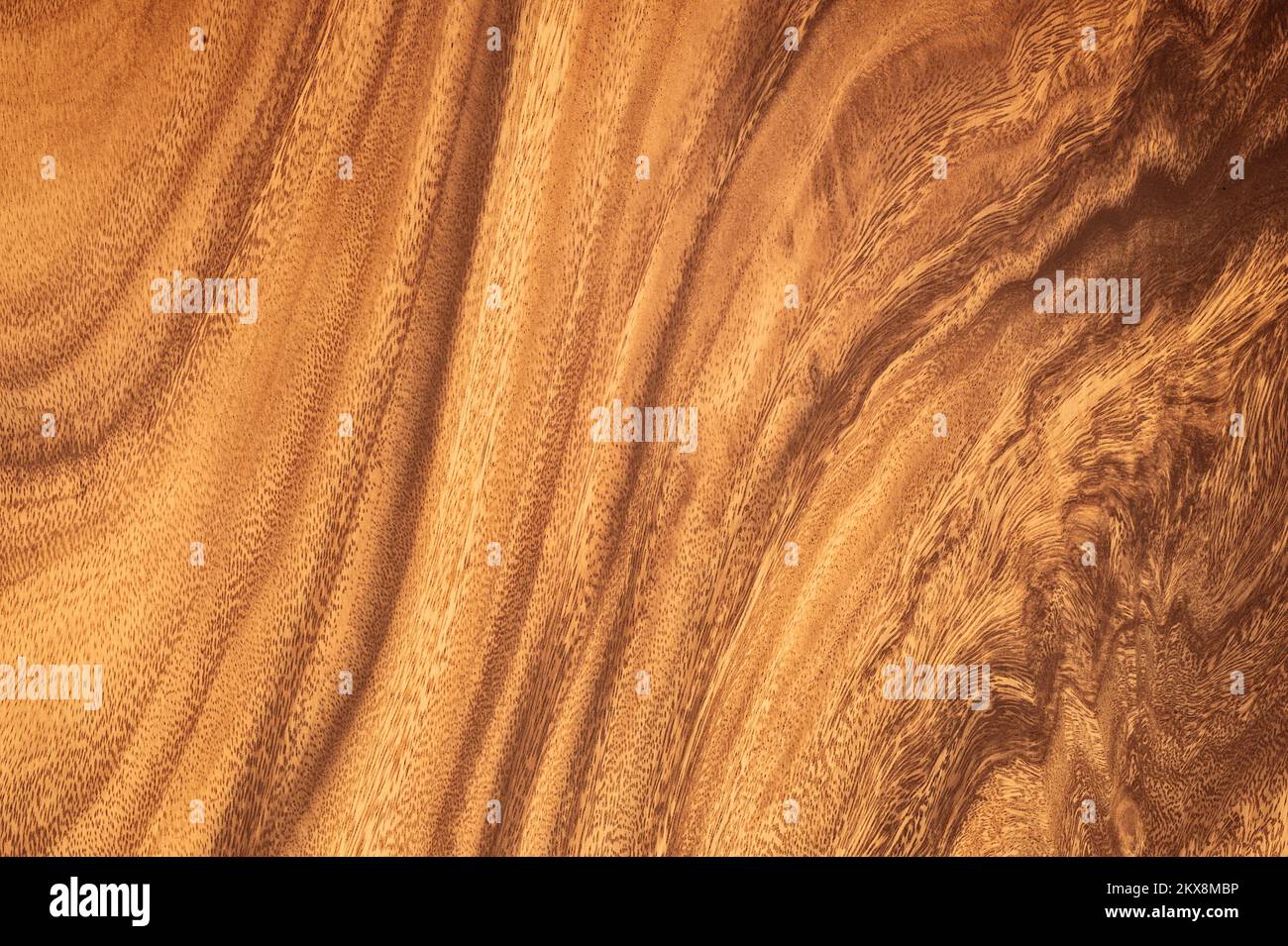 Wood texture seamless, Texture natural wooden, High resolution Stock ...