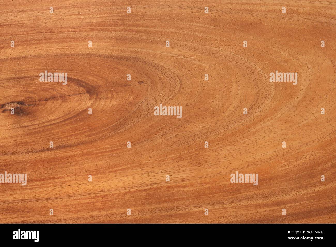 Wood texture seamless, Texture natural wooden, High resolution Stock ...