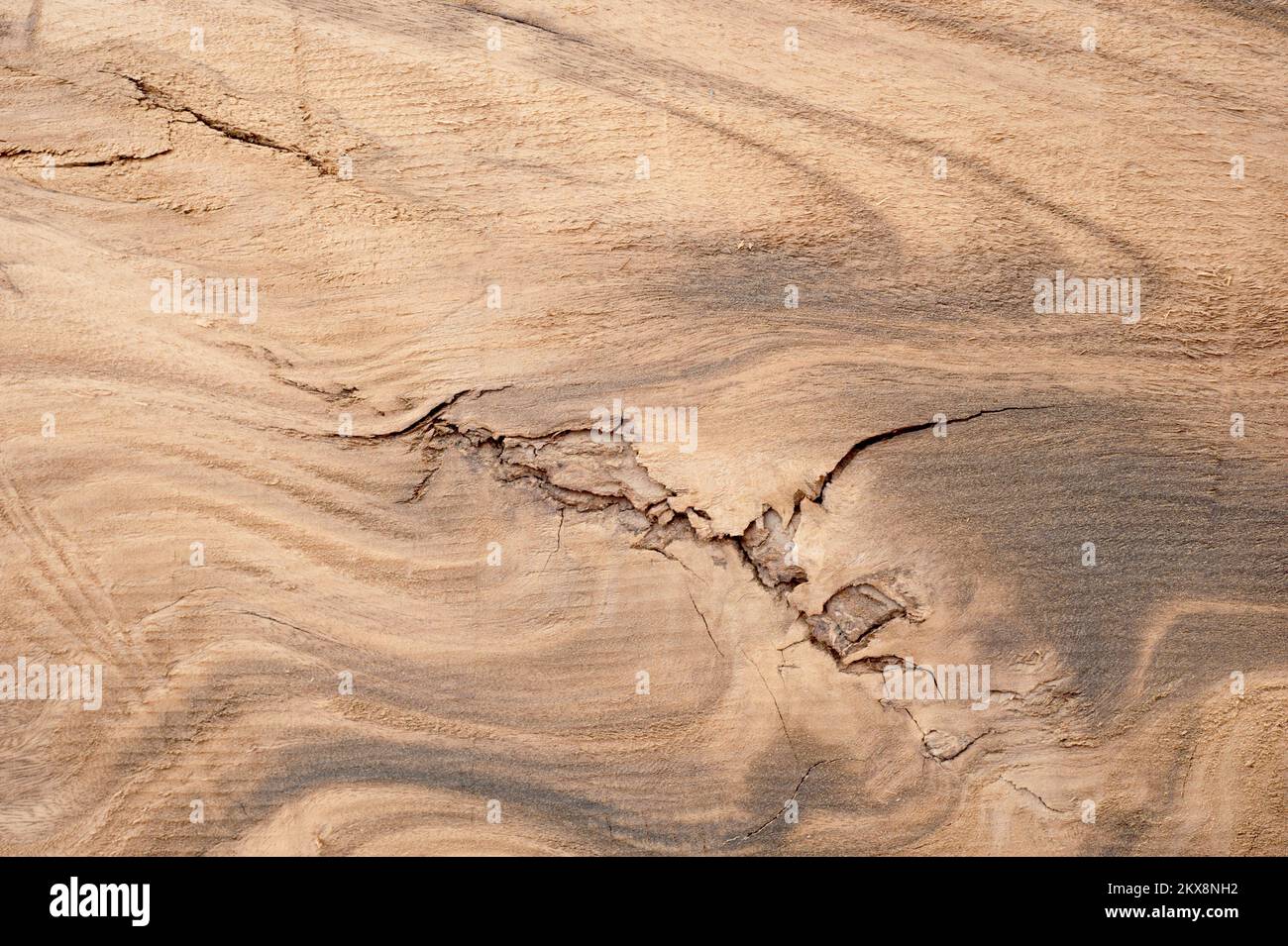 Wood texture seamless, Texture natural wooden, High resolution Stock ...