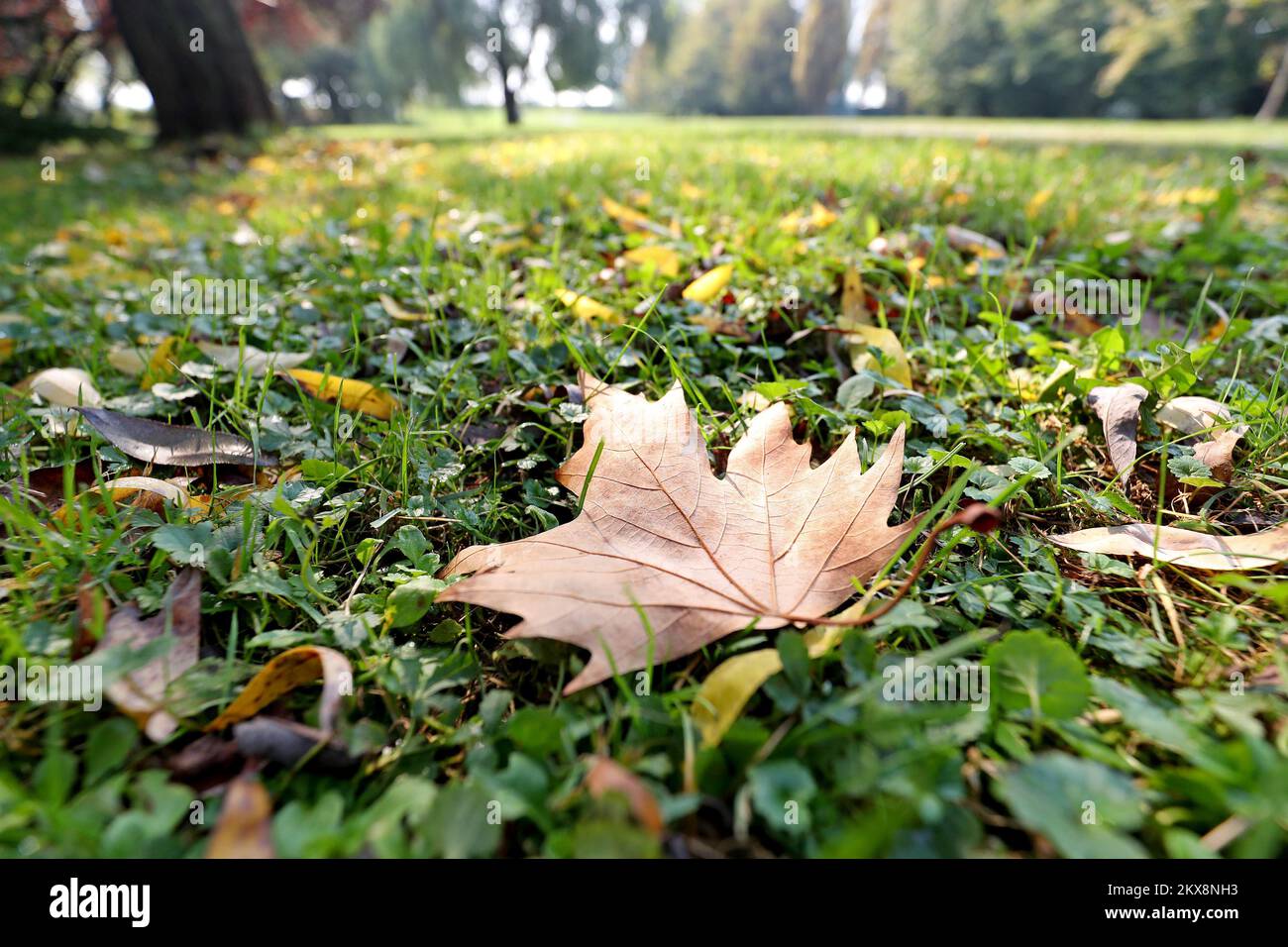 09.10.2018., Zagreb - Autumn colors in the Bocarski dom Park Photo ...