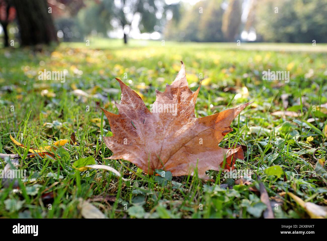 09.10.2018., Zagreb - Autumn colors in the Bocarski dom Park Photo ...