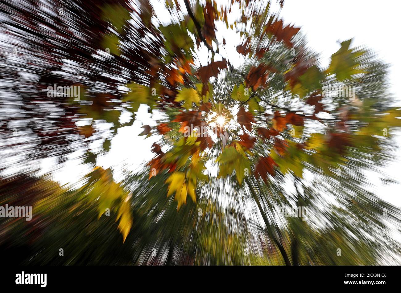09.10.2018., Zagreb - Autumn colors in the Bocarski dom Park Photo ...