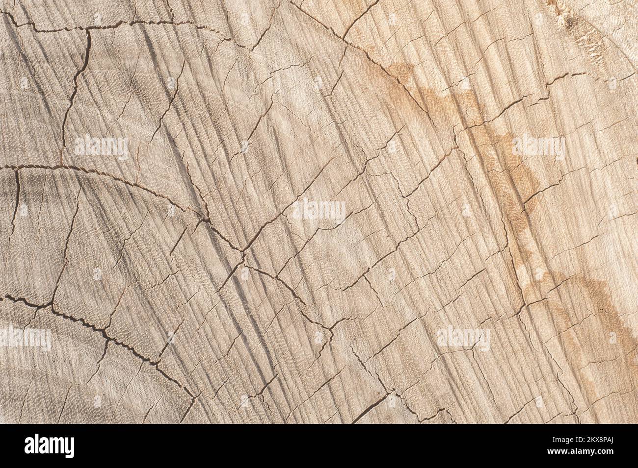 Wood texture seamless, Texture natural wooden, High resolution Stock ...