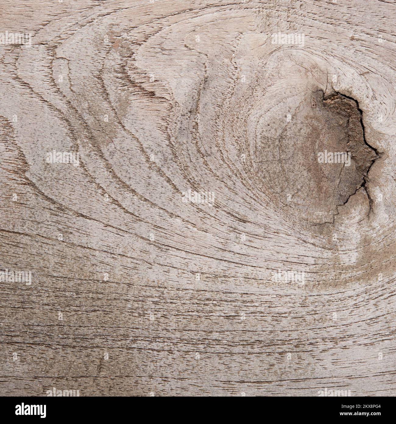 Wood texture seamless, Texture natural wooden, High resolution Stock ...