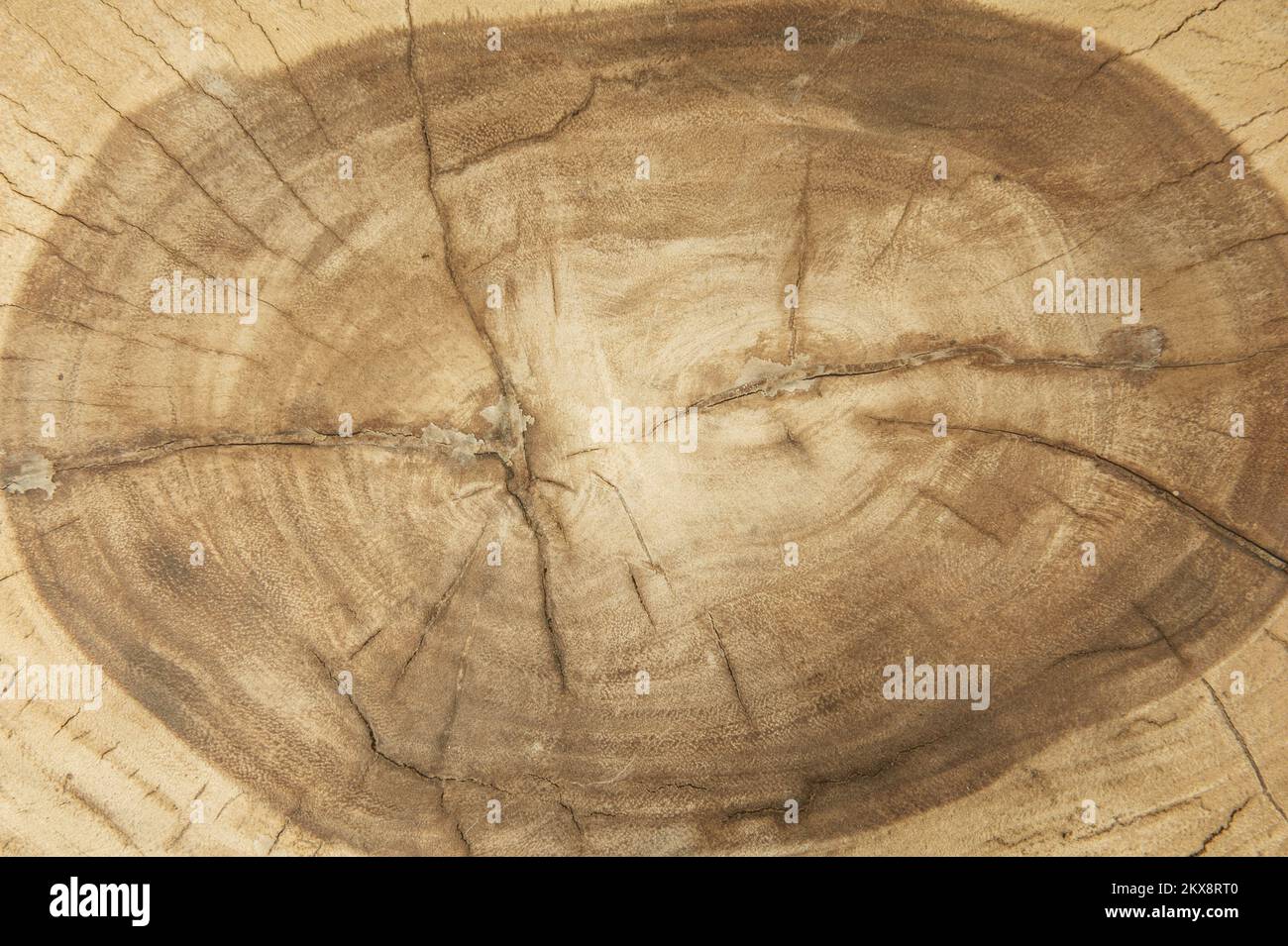 Wood texture seamless, Texture natural wooden, High resolution Stock ...