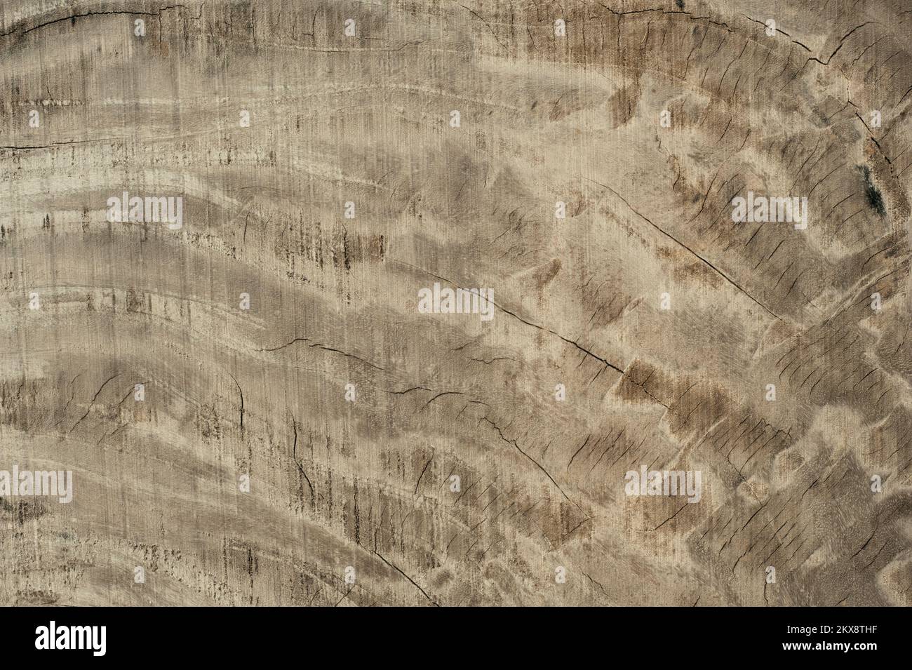 Wood texture seamless, Texture natural wooden, High resolution Stock ...
