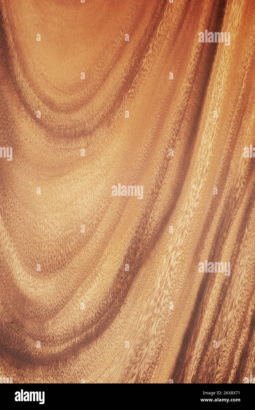 Wood texture seamless, Texture natural wooden, High resolution Stock ...