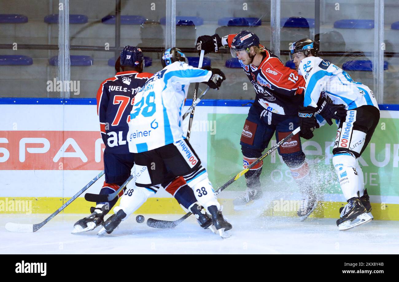 Bracken Kearns Sharks