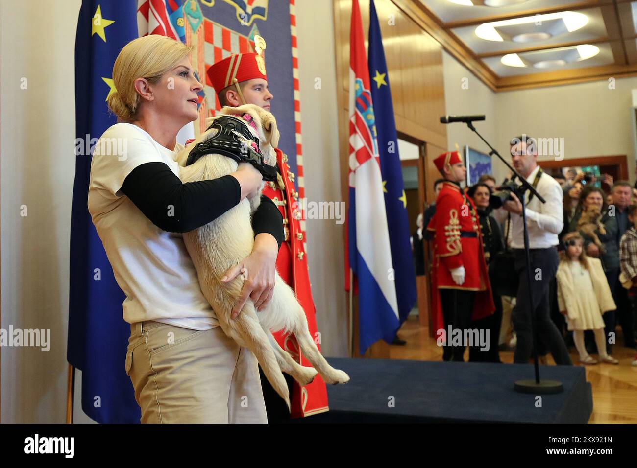 27.10.2018., Zagreb - Six-month-old Kika, mixed labrador and terrier ...