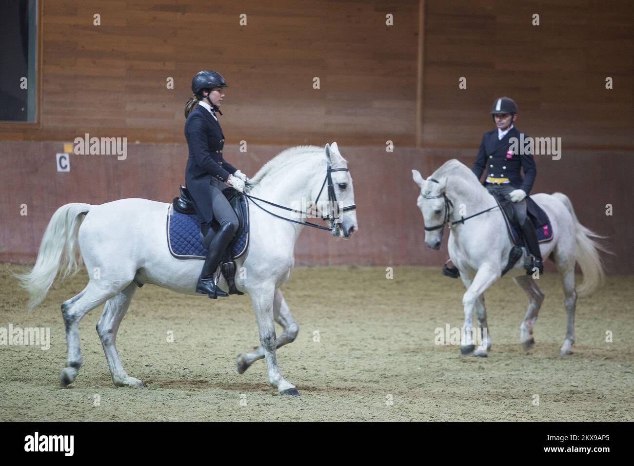 19.11.2018., Djakovo, Croatia - Extremely attractive horse program held ...