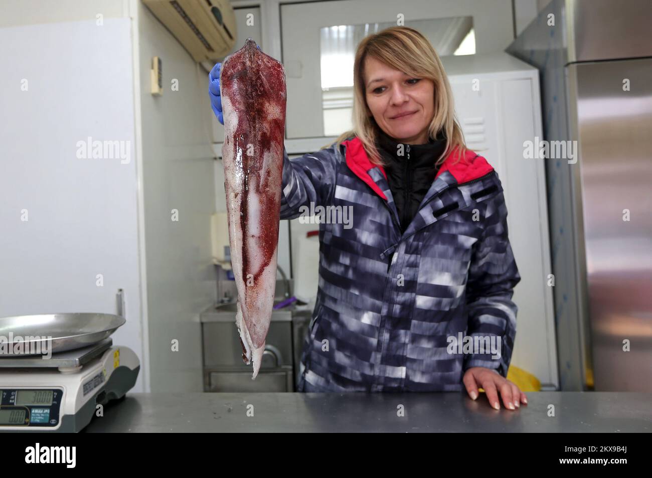 20.11.2018., Sibenik, Croatia - Private fish market Matrix selling ...