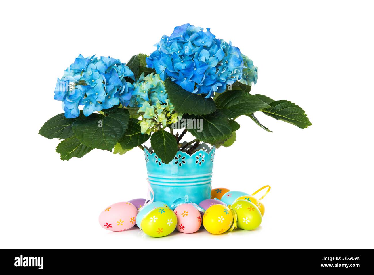 Colorful hydrangea plant with easter eggs Stock Photo - Alamy