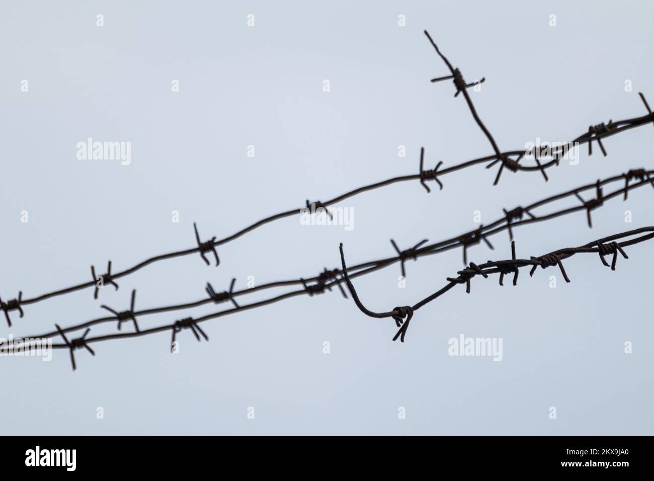 Barbed metal wire lines fence on gray background. Border protection ...