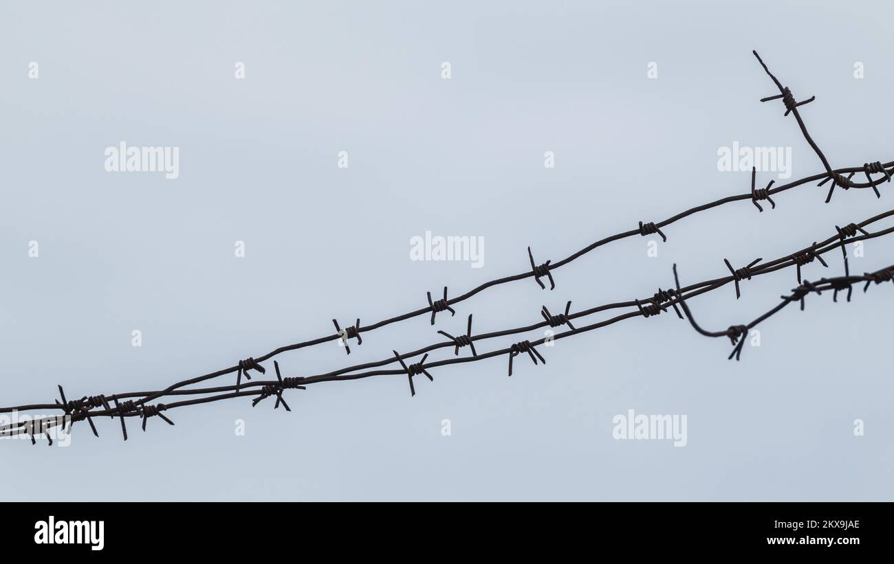 Barbed sharp wire metal fence on gray background. Border protection ...