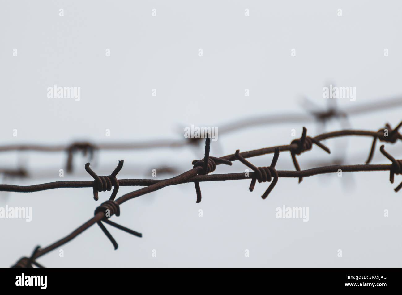 Barbed metal wire close-up with blurry background. Border protection ...