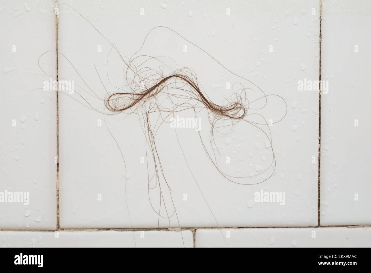 Fallen brown hair smudged on white ceramic tiles, close up Stock Photo ...