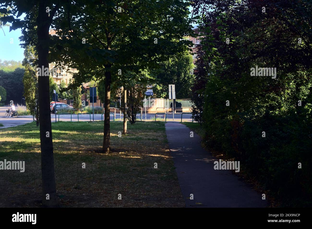 Paved path with trees at its edge in a park Stock Photo - Alamy