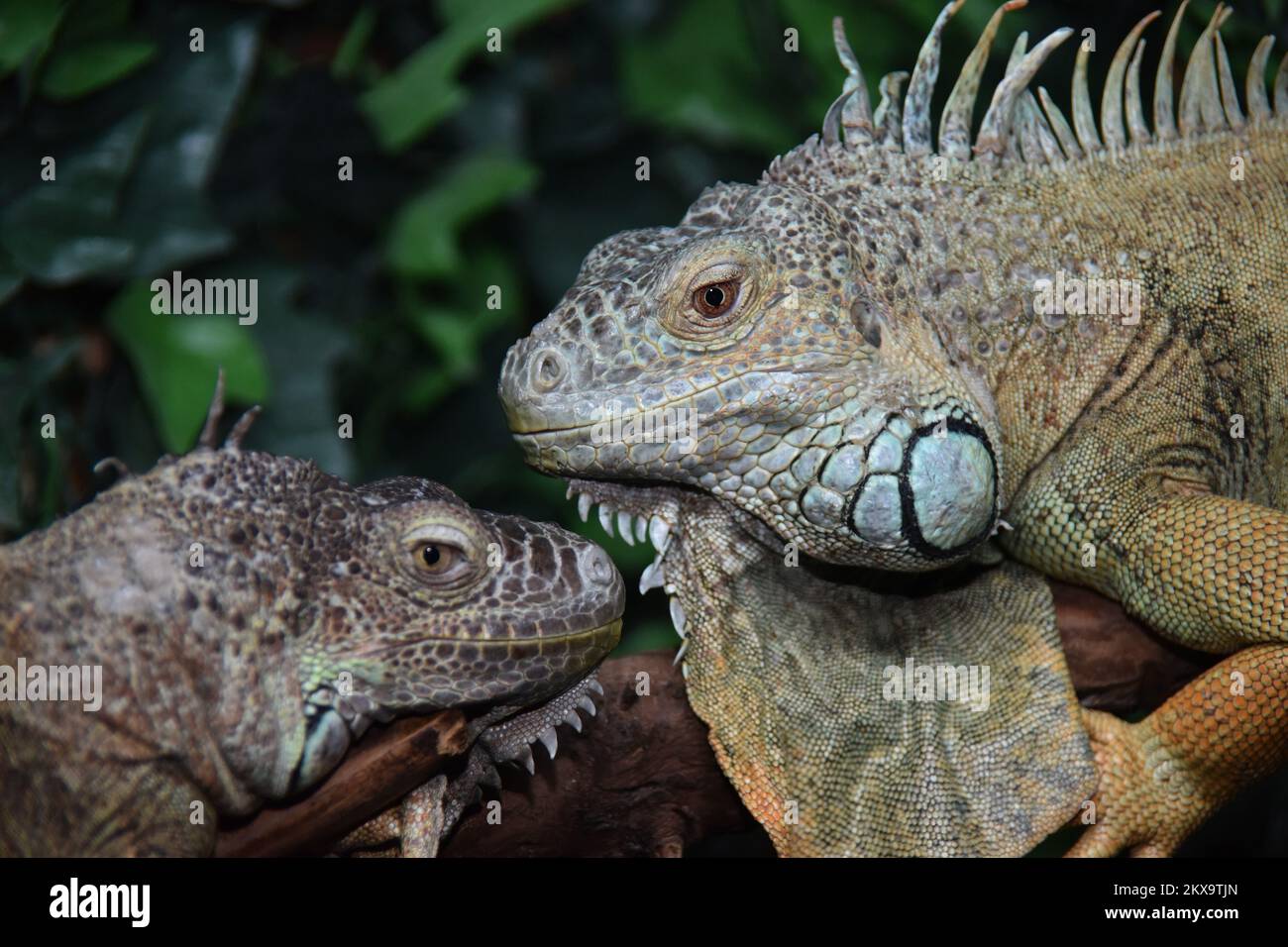 10.12.2018., Pula - Aquarium Pula is a unique way the richness of the ...