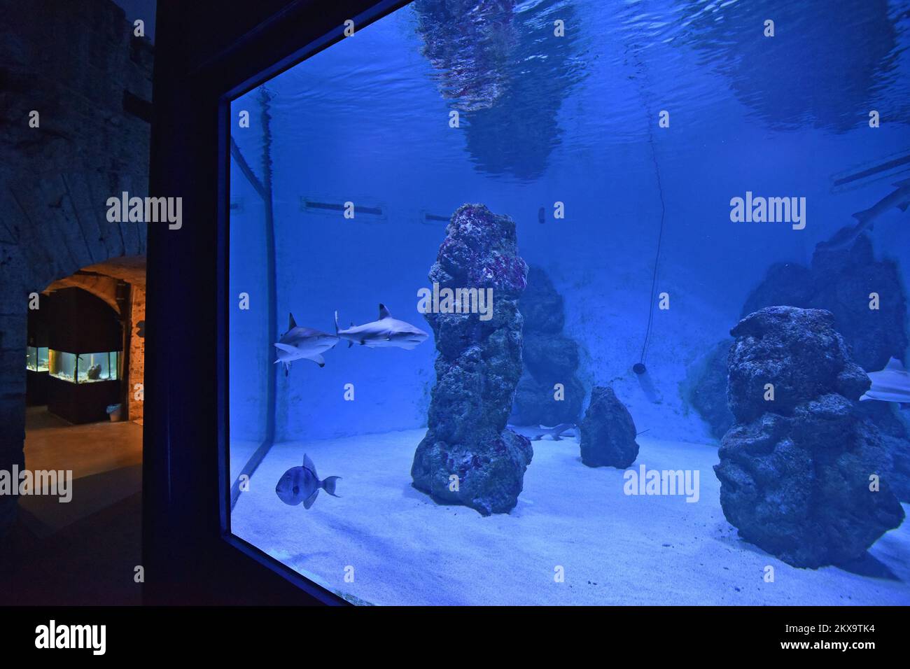 10.12.2018., Pula - Aquarium Pula is a unique way the richness of the ...
