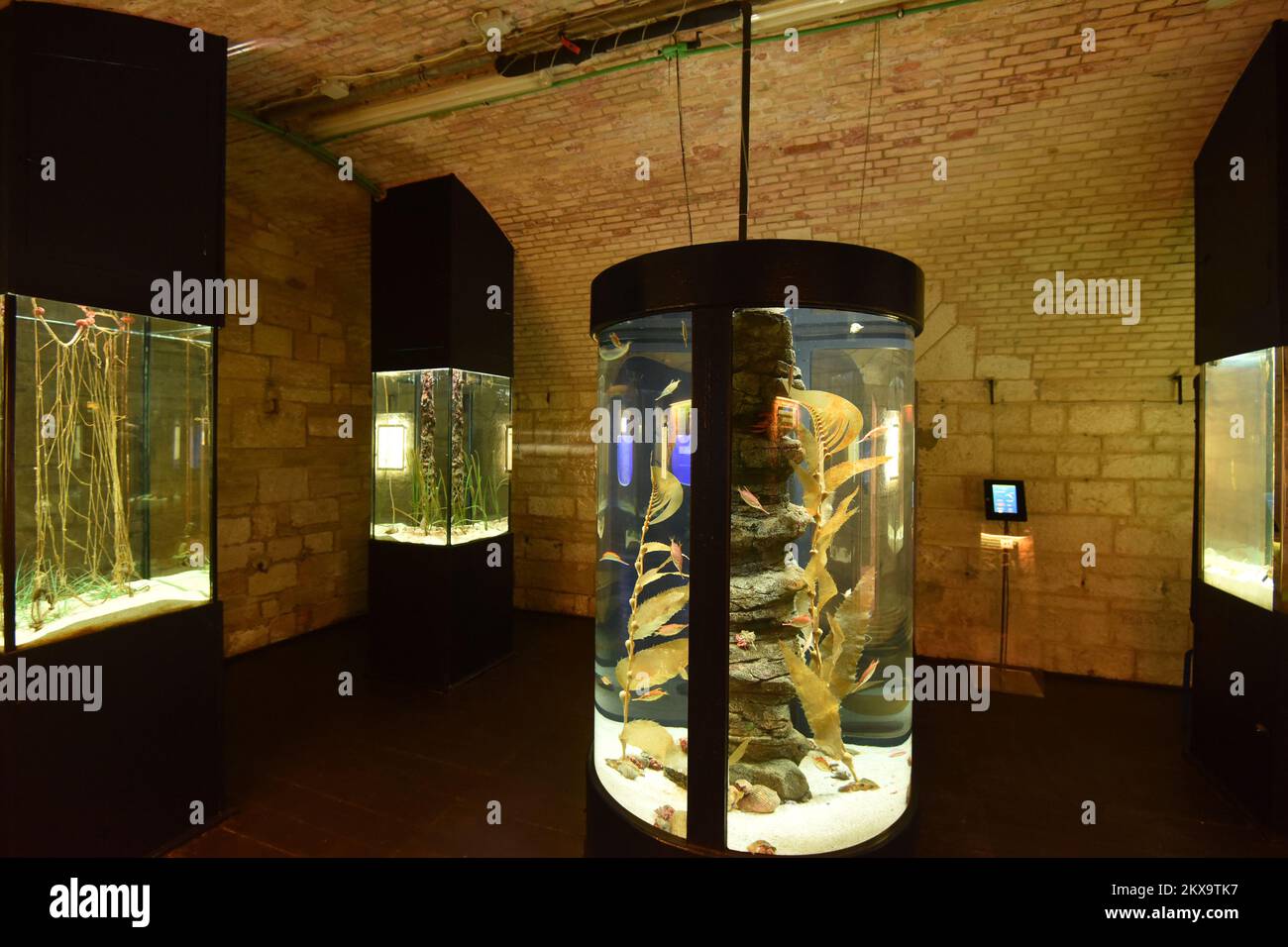 10.12.2018., Pula - Aquarium Pula is a unique way the richness of the ...