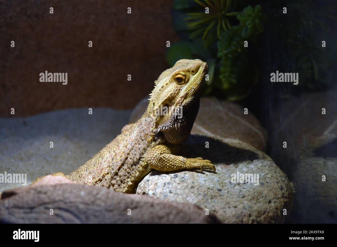 10.12.2018., Pula - Aquarium Pula is a unique way the richness of the ...