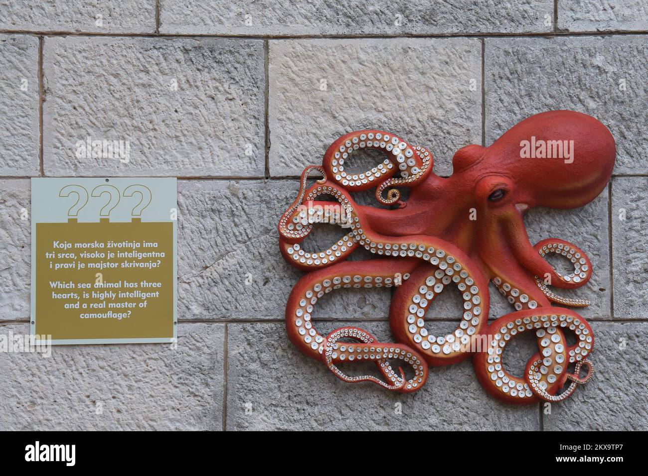 10.12.2018., Pula - Aquarium Pula is a unique way the richness of the ...