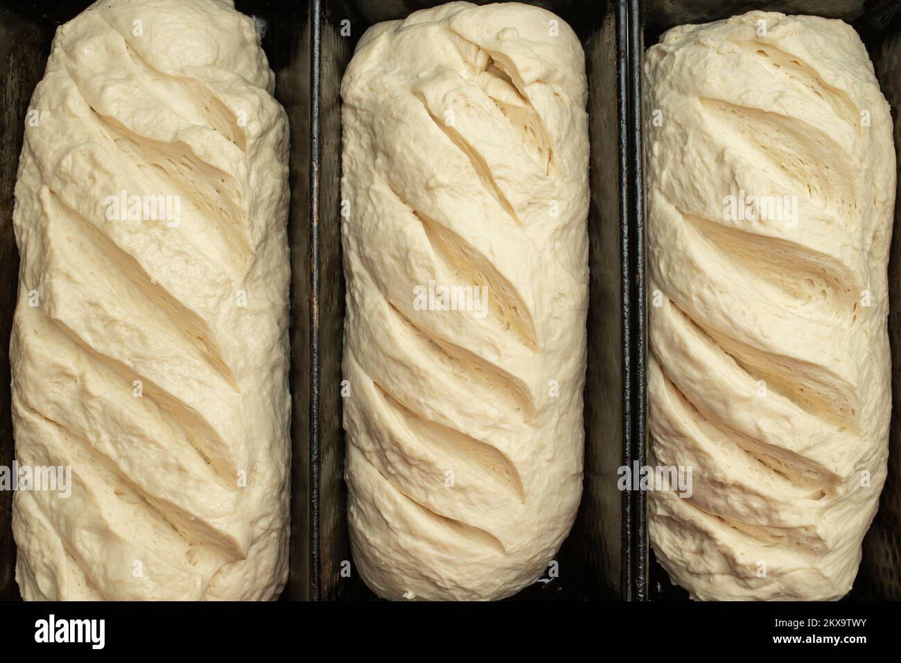 3 breads ready to be baked, raw dough background, soft focus close up ...