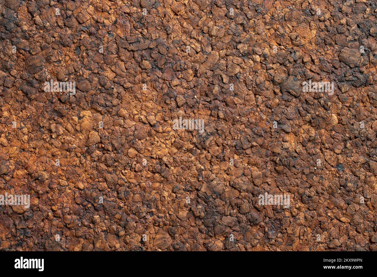 Burned dark cork wood texture, soft focus close up Stock Photo - Alamy