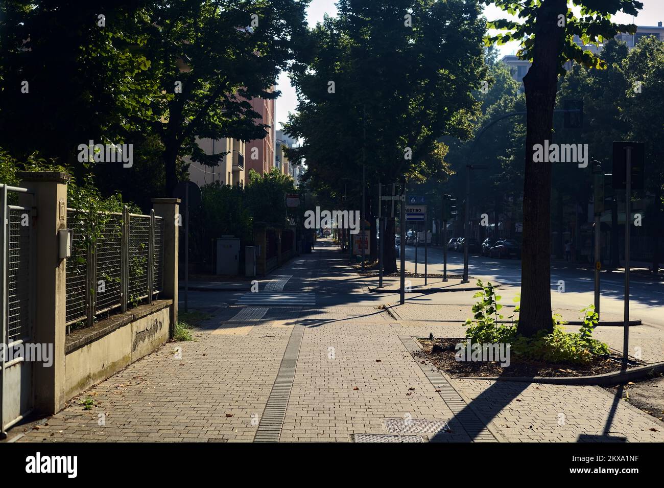 Pavement bordered by trees next to fences in a residential area Stock ...