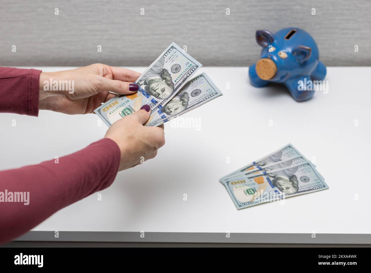 a man counts his money savings against the background of a piggy bank ...