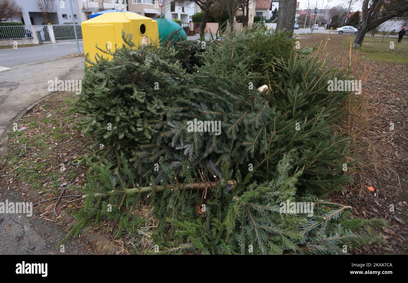 07.01.2019., Zagreb - Christmas trees are thrown away after the feast ...