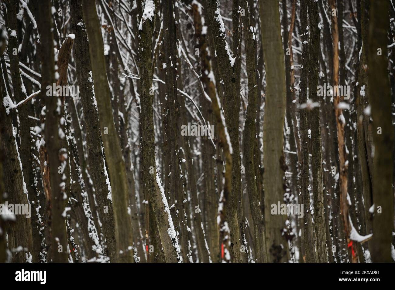 23.01.2019., Croatia, Zagreb - The snow that fell in Zagreb created ...