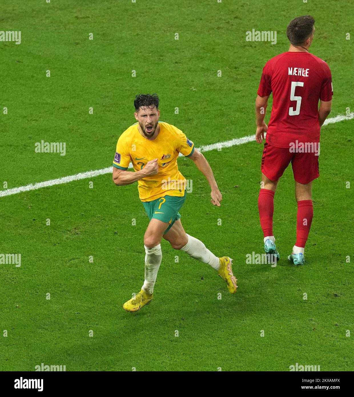 Australia's Mathew Leckie celebrates scoring their side's first goal of ...