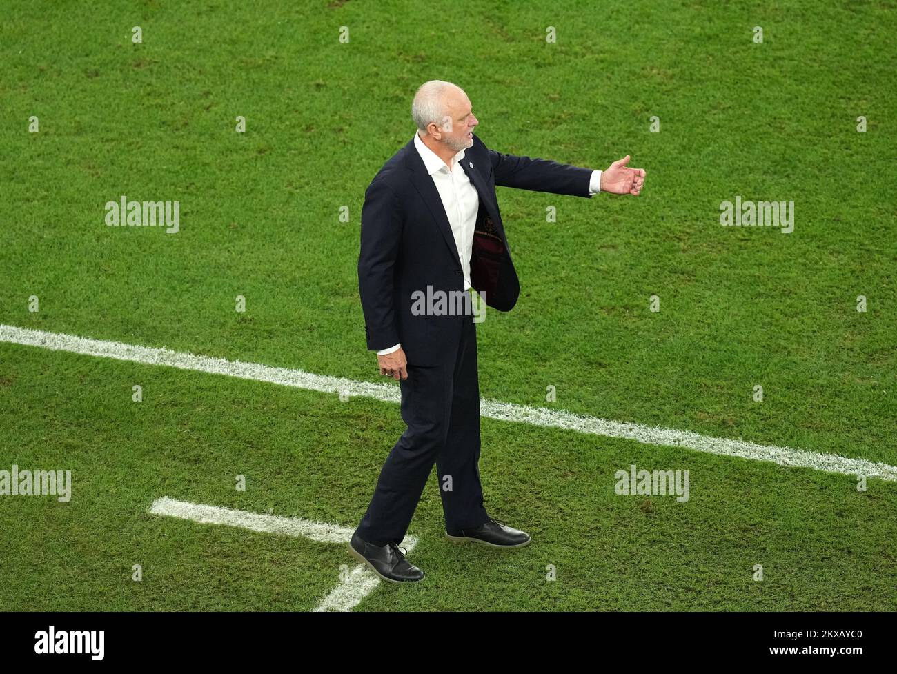 Australia manager Graham Arnold during the FIFA World Cup Group D match ...
