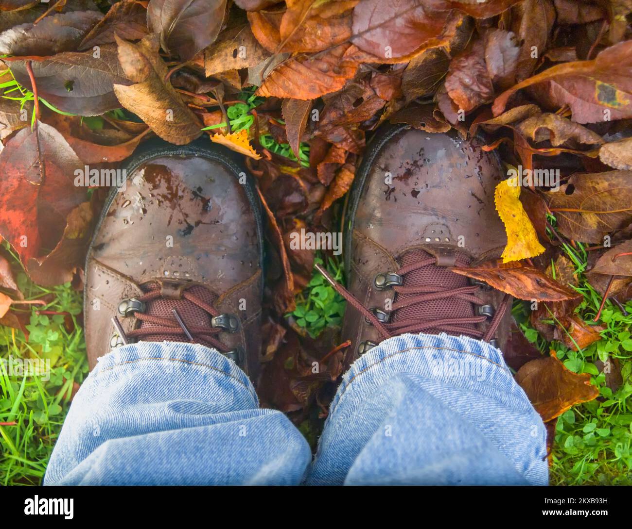 feet wearing leather boots standing on the fall colorful leaves, above ...