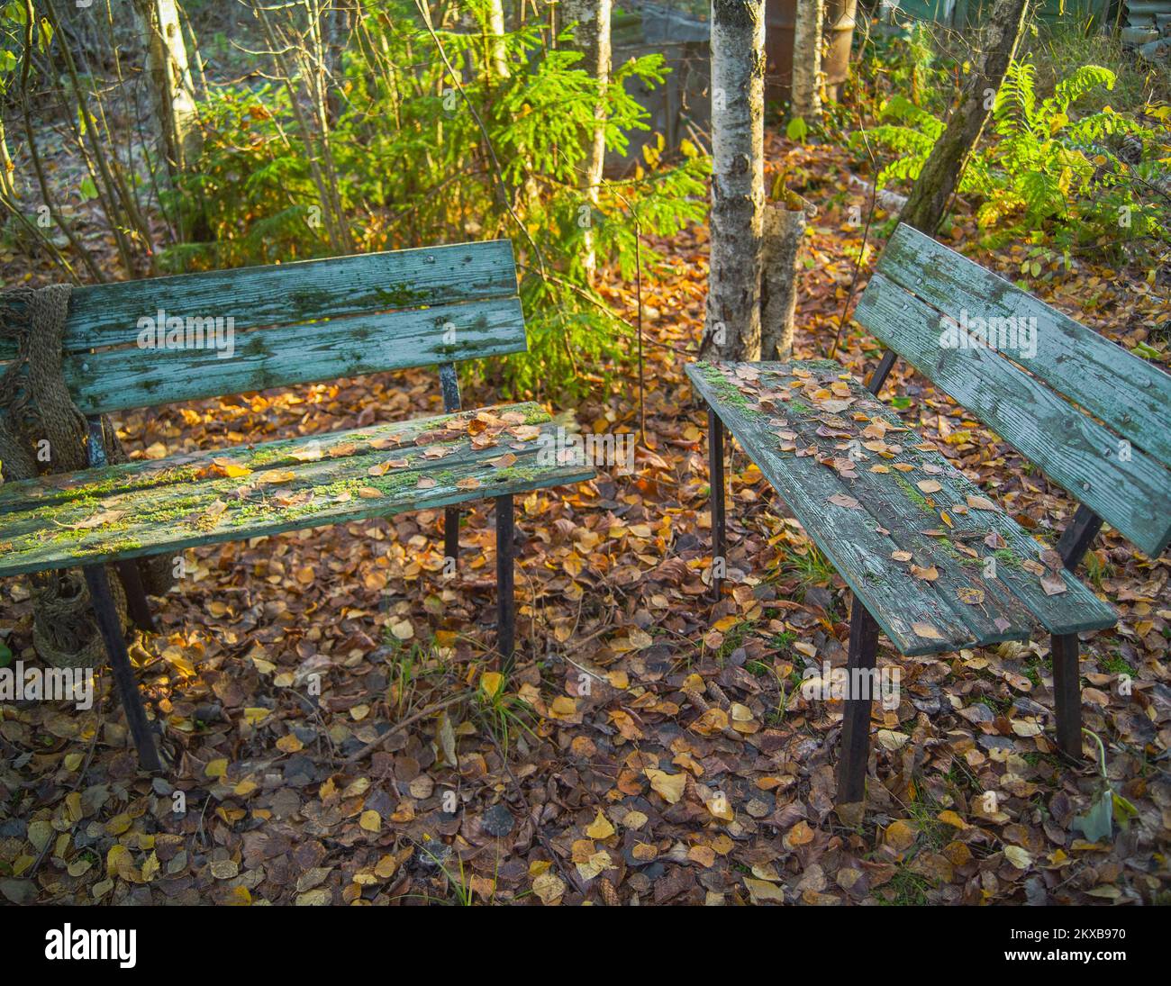 Shot park benches in hi-res stock photography and images - Alamy