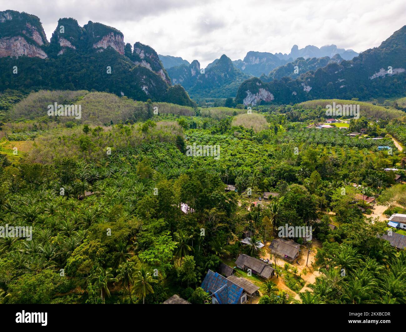 Aerial drone view of Khao Sok national park, Thailand. Jungle, palms ...