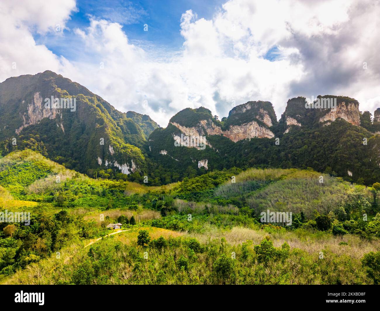 Aerial drone view of Khao Sok national park, Thailand. Jungle, palms ...