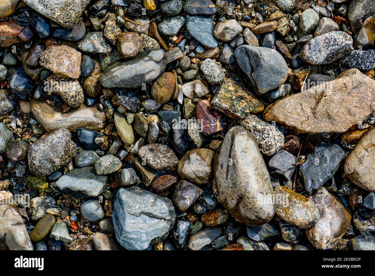 Closeup view at pebbles on the shore Stock Photo - Alamy