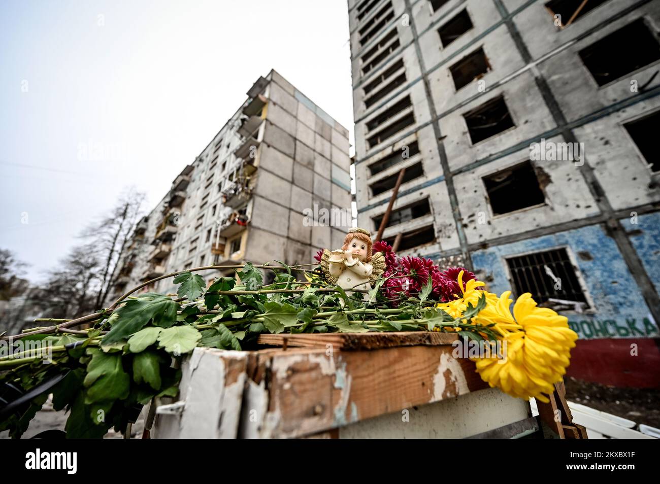Destroyed building flower hi-res stock photography and images - Alamy