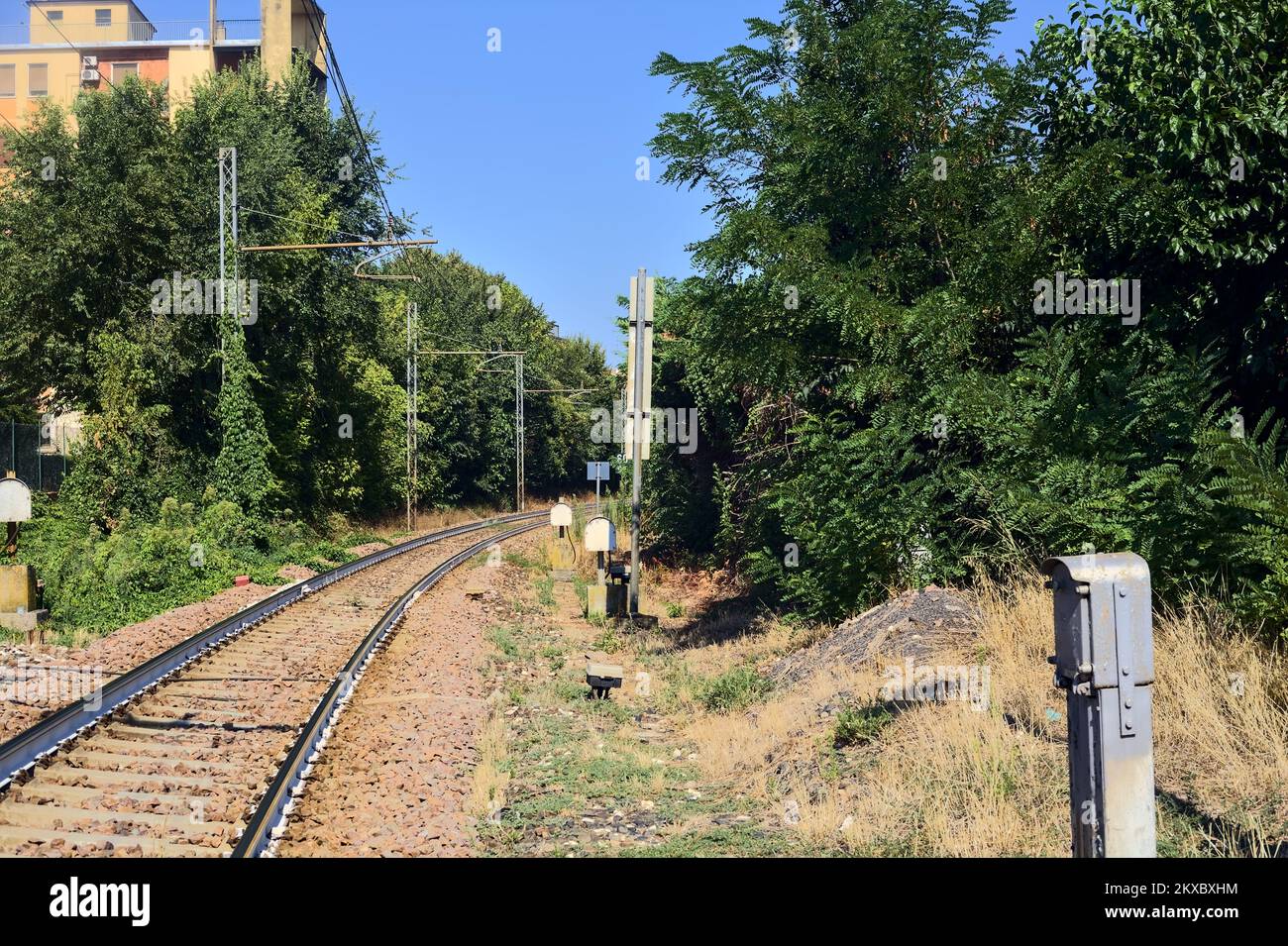 Railroad crossing with trees and buildings by its side at sunset Stock ...