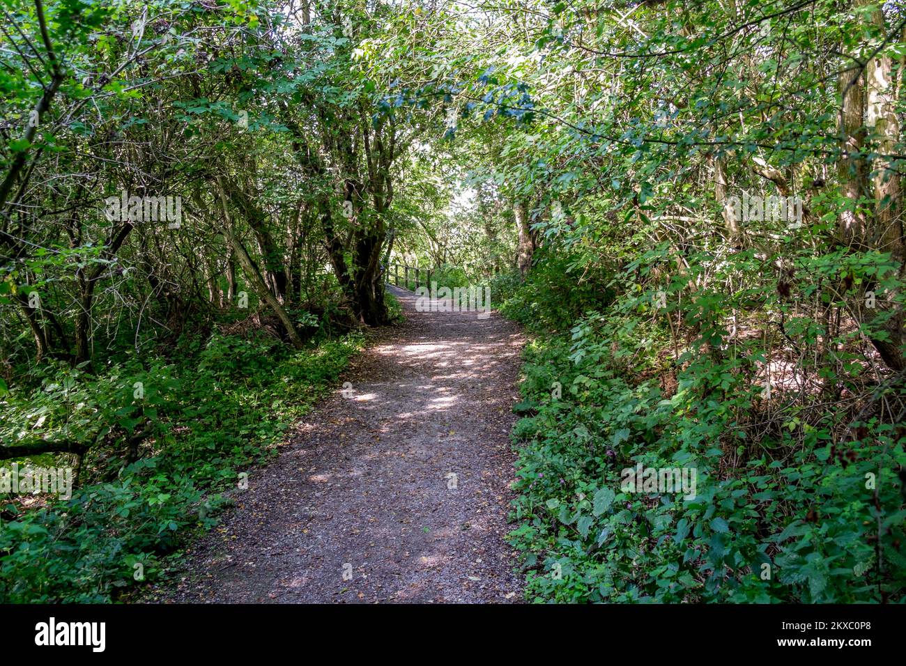 Faiburn ings hi-res stock photography and images - Alamy