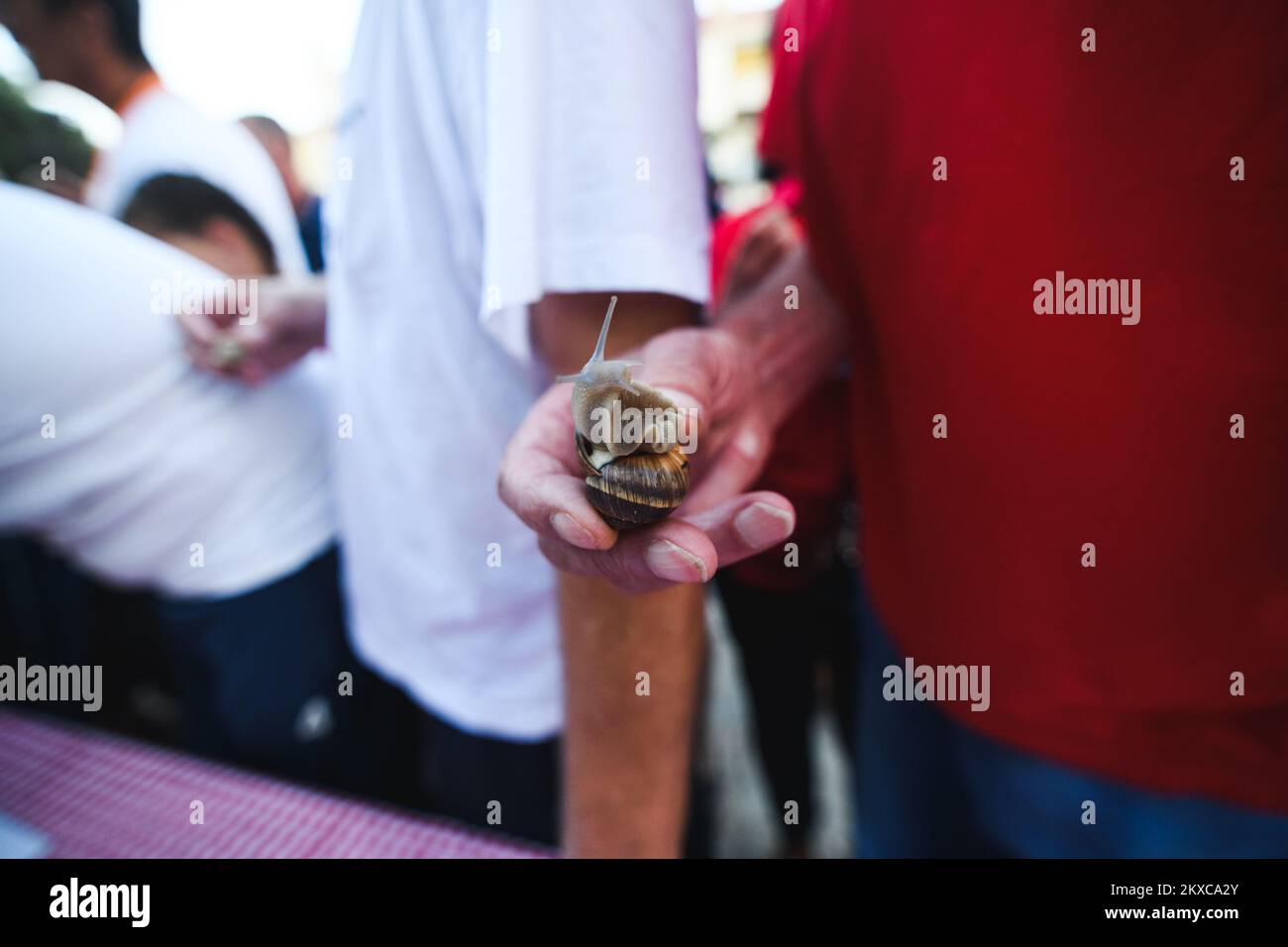 20.07.2019., Croatia, Benkovac - Croatia's open championship in the ...